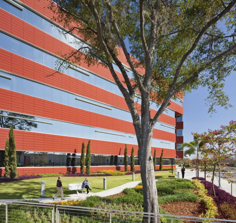 Adventist Health System | Work | Little