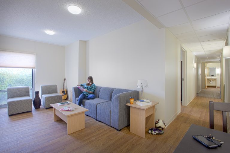 American University | Work | Little