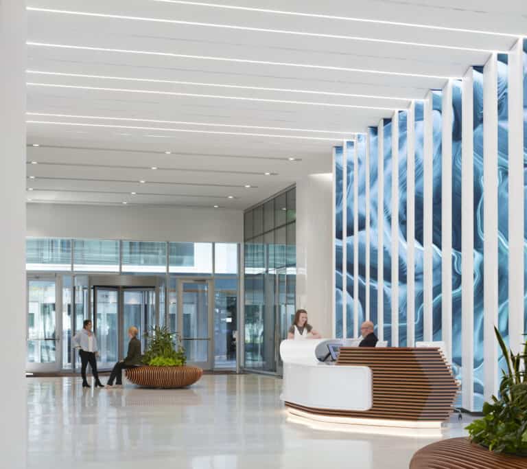 Ally Charlotte Center | Work | Little