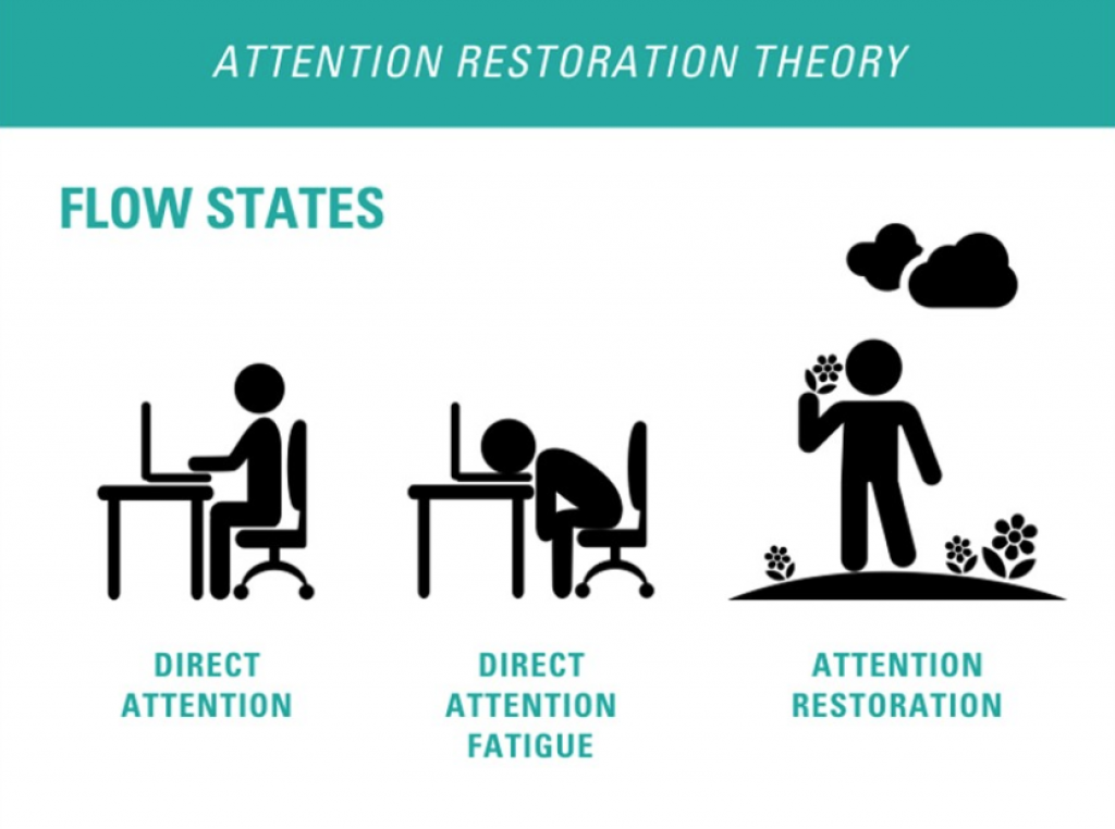 Disrupted Routines Amplify the Need for Self-Care | Insights | Little