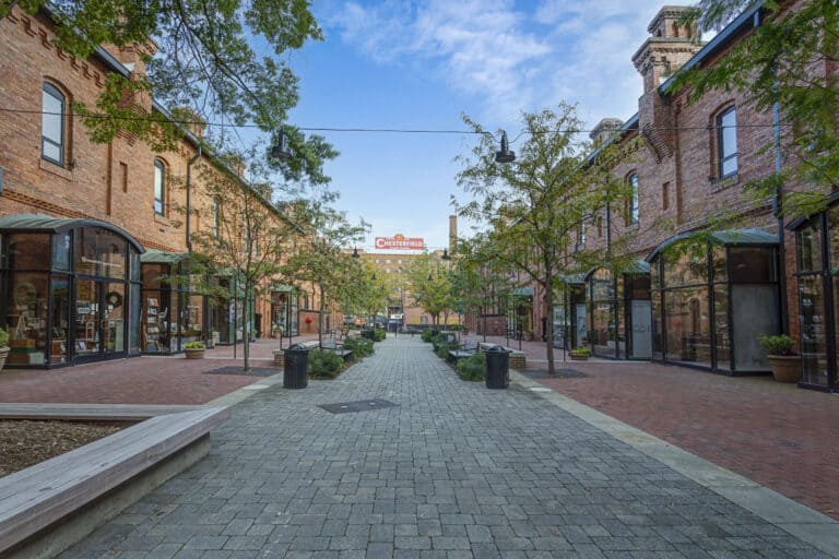 Brightleaf | Work | Little